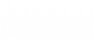 Arrive in Style Limousine – The Only Airport Shuttle and Car Service ...